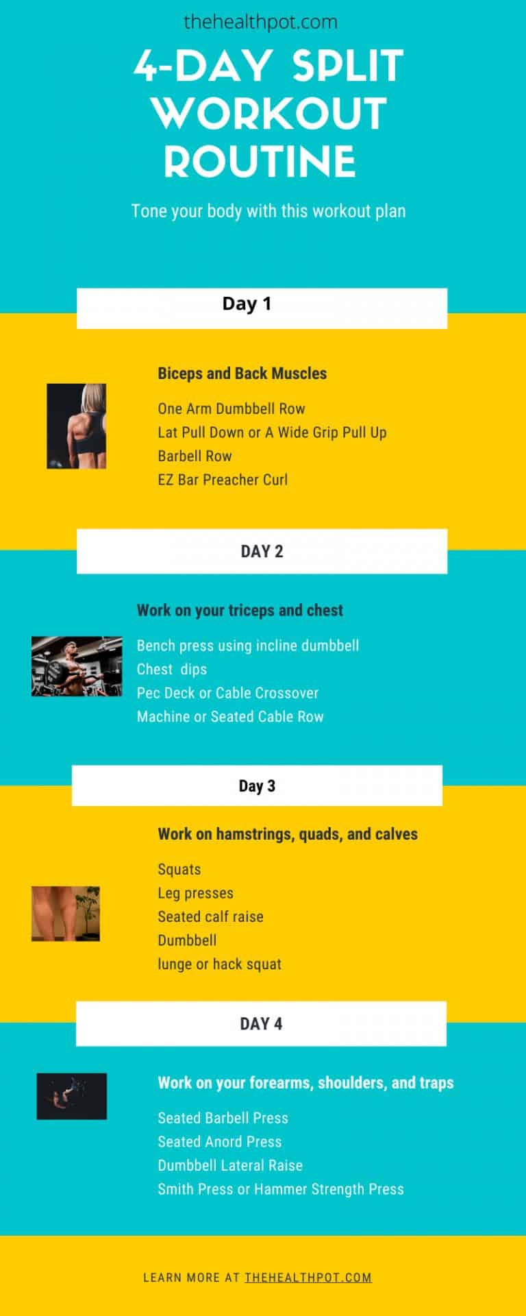 Best 4 Day Split Workout for Muscle Building - The Health Pot
