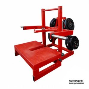 Types of Squat Machines for Toned Quads and Glutes - The Health Pot