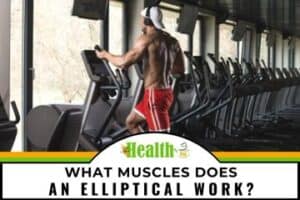 What Muscles Does an Elliptical Work? - The Health Pot